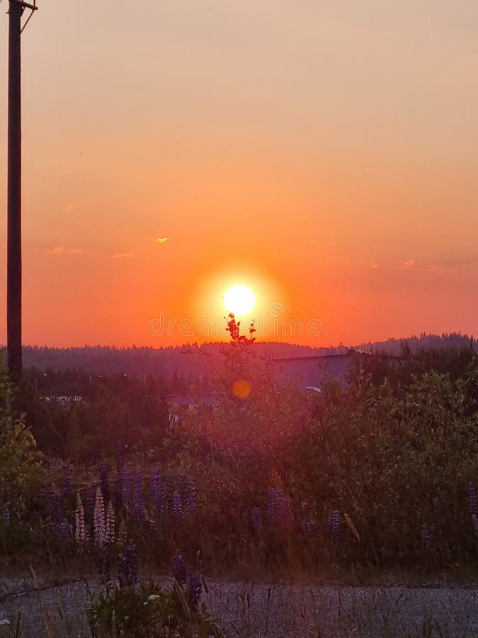 Summer morning sunrise stock image. Image of reflection - 237210519