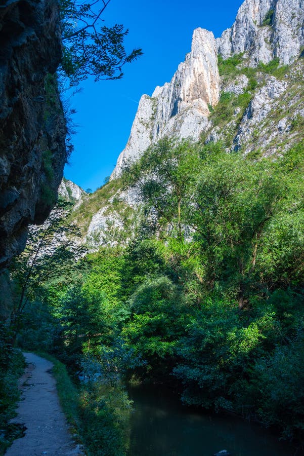 Summer Morning at Turda Gorge in Romania Stock Image - Image of turzii ...