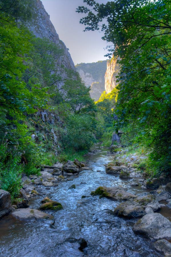 Summer Morning at Turda Gorge in Romania Stock Image - Image of turzii ...