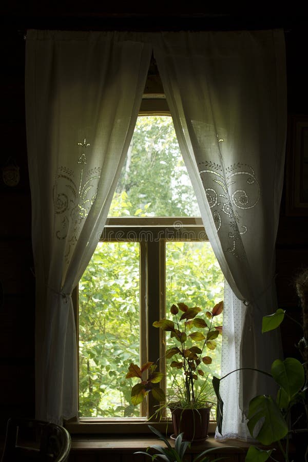 Summer Morning through the Window. Flower on the Windowsill Stock Photo ...
