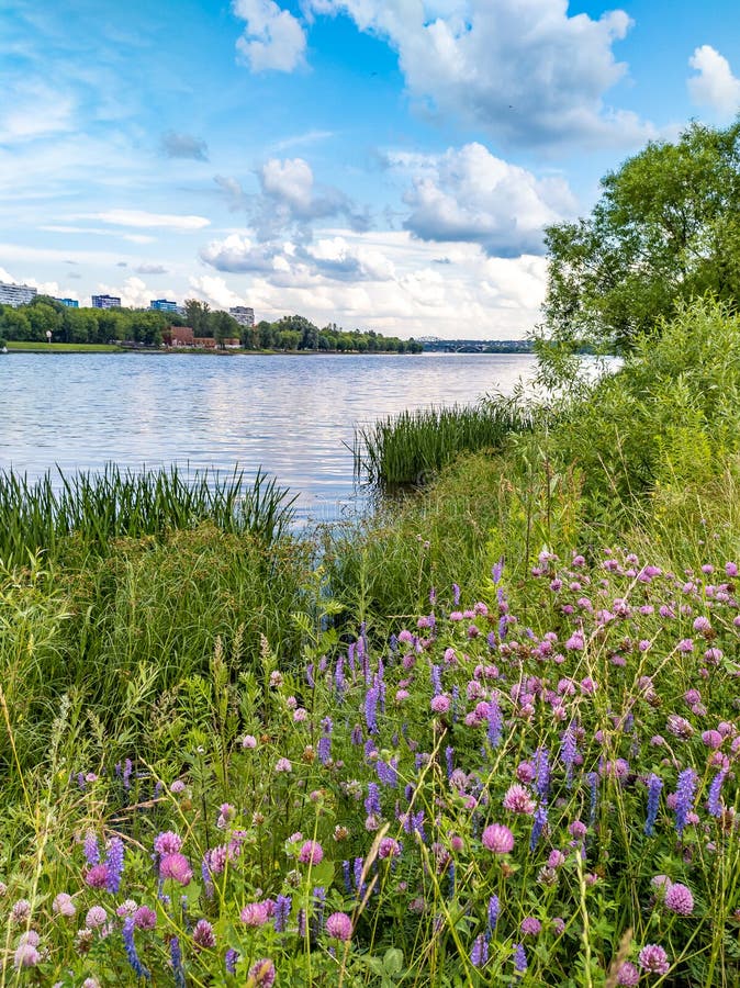 Summer in Moscow park stock image. Image of maryino - 192789731