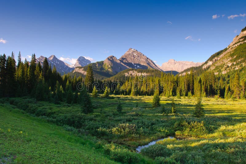 Summer in the Mountains stock photo. Image of dawn, environment - 21953734