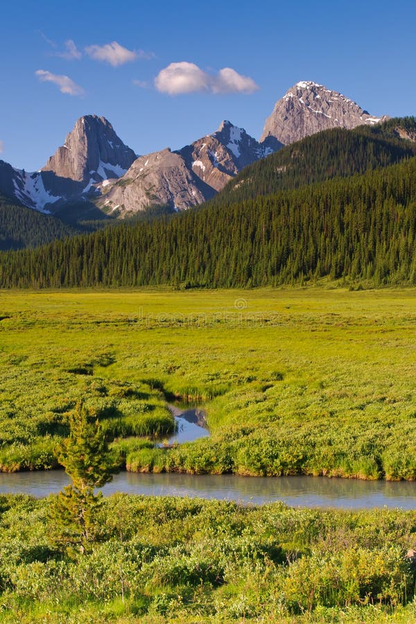 Summer in the Mountains stock photo. Image of scene, park - 21991236