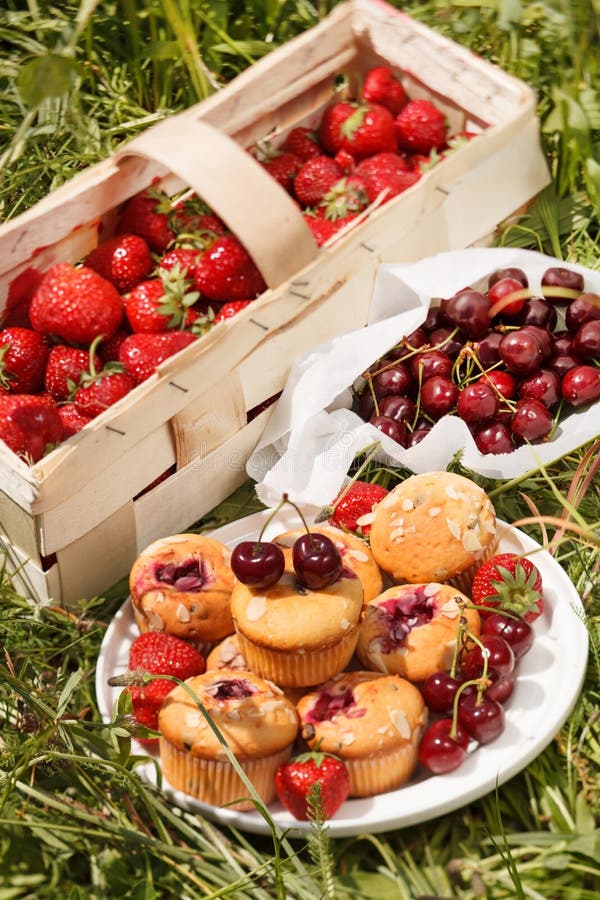 Summer muffins stock photo. Image of baked, cherry, dessert - 26872776