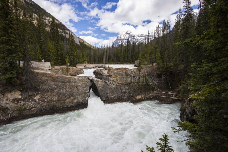 Summer in Natural Bridge, Yoho National Park, Canada Stock Photo ...