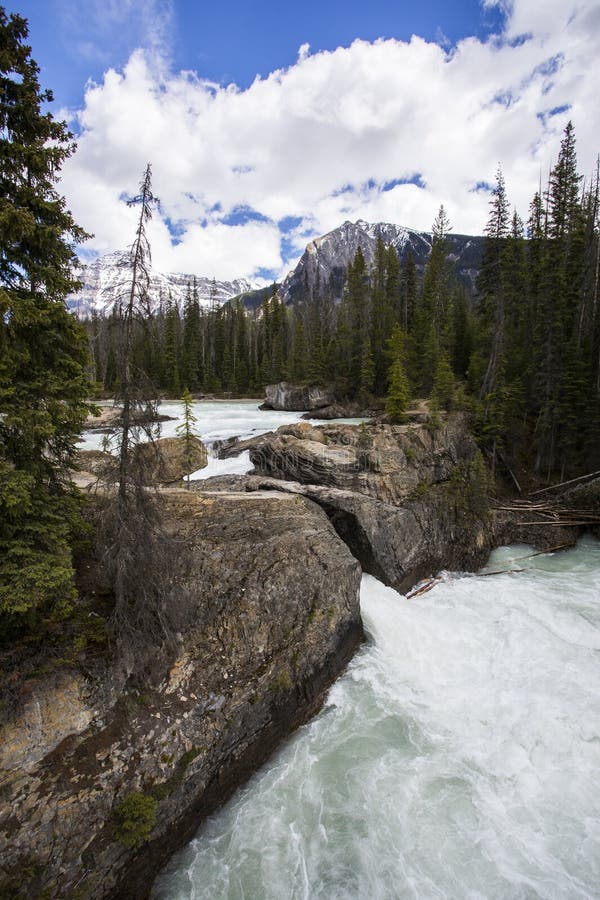 Summer in Natural Bridge, Yoho National Park, Canada Stock Image ...