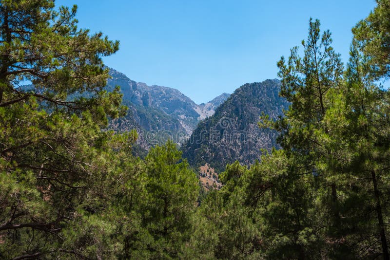 Samaria Gorge. Crete. Greece. Stock Photo - Image of nature, gorge ...