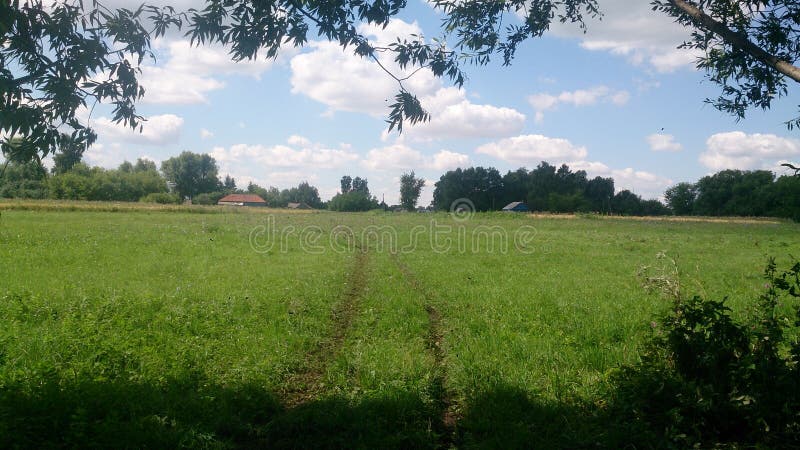 Summer stock photo. Image of nature, weather, summer - 103663674