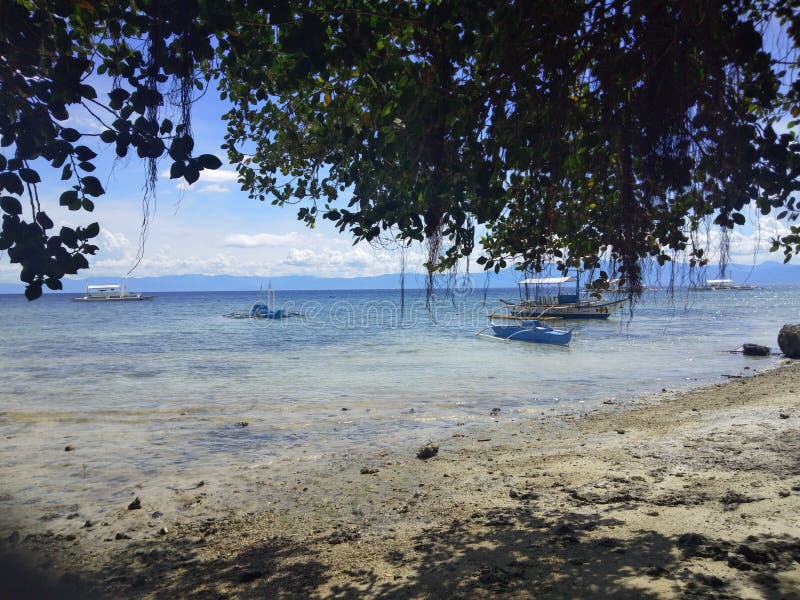 Island life editorial stock image. Image of summer, island - 118005814