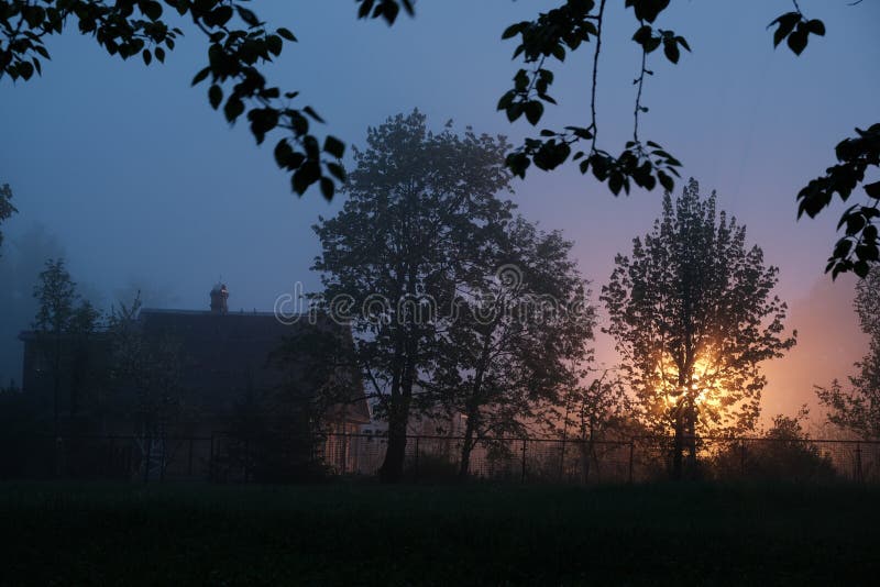 Summer night in the city stock photo. Image of tower - 219819798