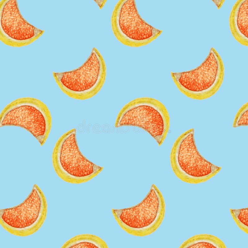 Summer Orange Fruit Illustration Seamless Pattern Vector. Stock ...