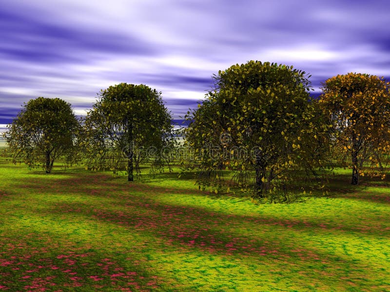 Summer Orchard stock photo. Image of growth, green, blossom - 8351708