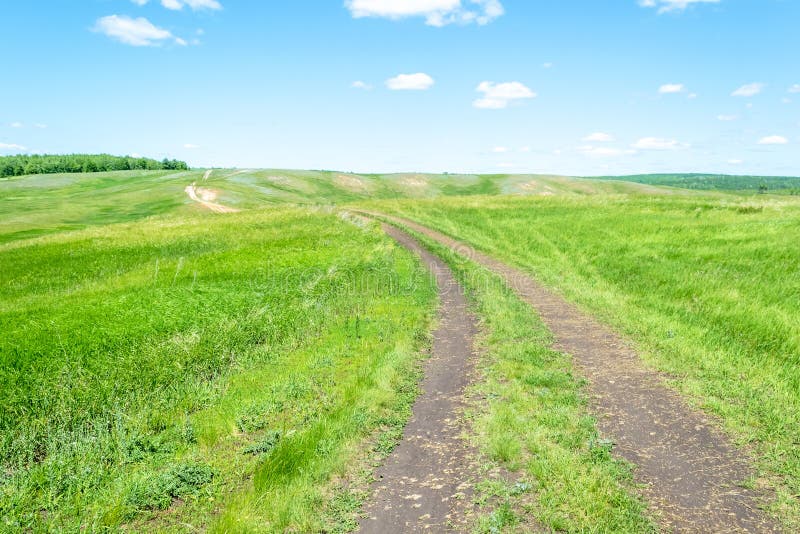 Summer Outdoor Green Grass Field Stock Photo - Image of natural, empty ...