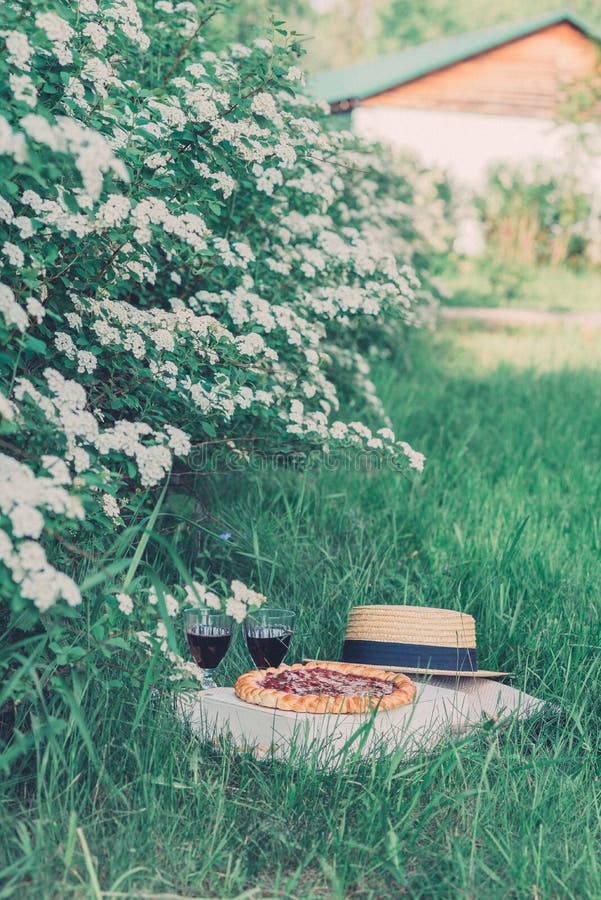 Summer outings in nature stock photo. Image of fresh - 121618950