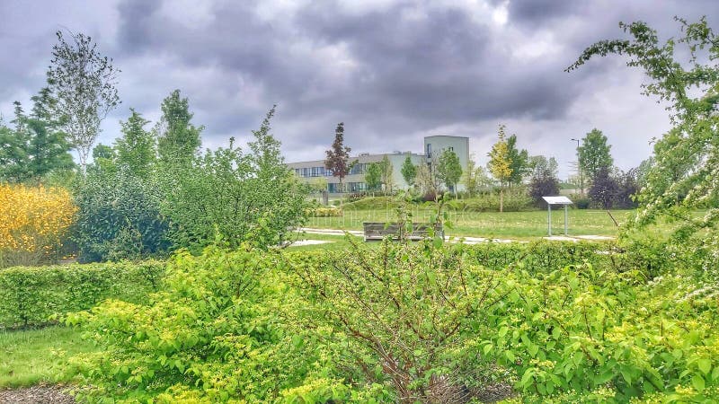 Summer at Palacky University Stock Photo - Image of hill, grassland ...