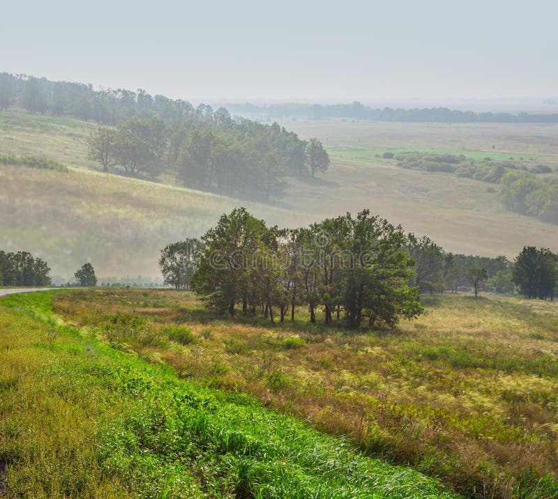 Summer Panorama Field and a Forest in the Distance, the Russian North ...