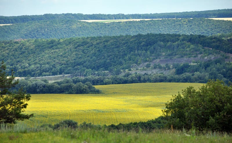 Summer panoramic landscape stock image. Image of countryside - 138378913