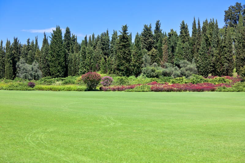 Summer park stock image. Image of flower, growth, idyll - 18907427