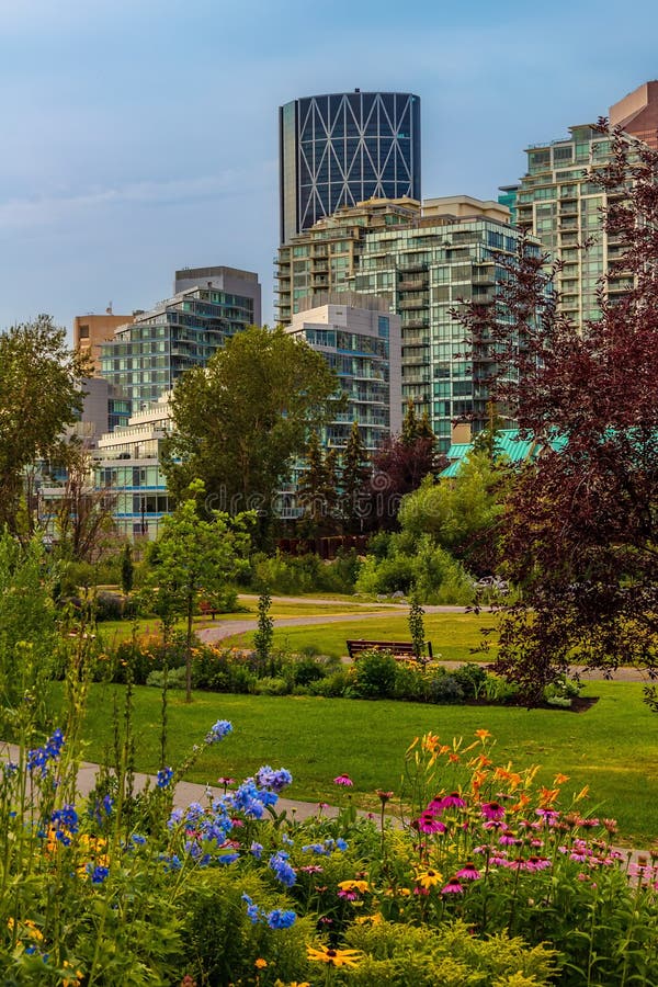 1,601 Calgary Downtown Summer Stock Photos - Free & Royalty-Free Stock ...