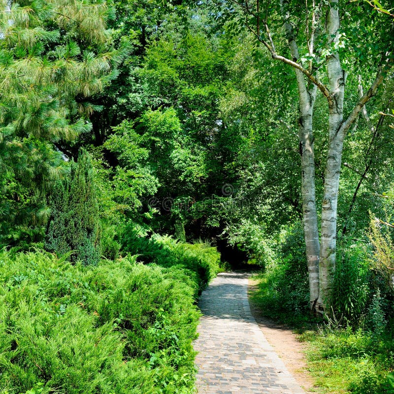 Summer Park with Cozy Walkways Stock Photo - Image of garden ...