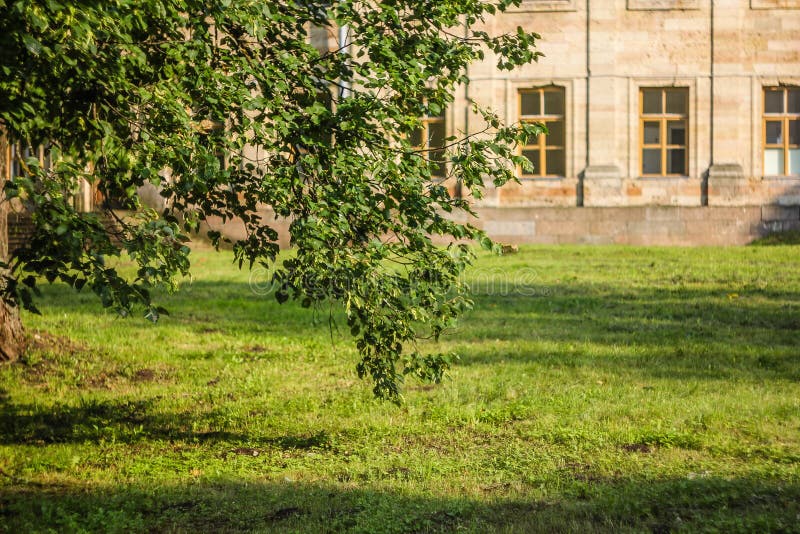Summer park landscape stock photo. Image of green, landscape - 75021258