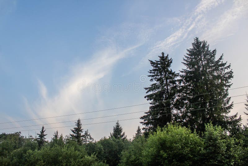 Summer park landscape stock image. Image of scenery, national - 75021347