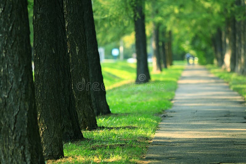 Summer park with path stock photo. Image of green, ground - 60209388