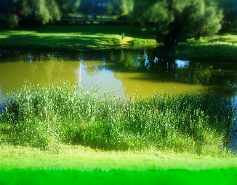 Back-water River Landscape Background Hd Stock Image - Image of ...