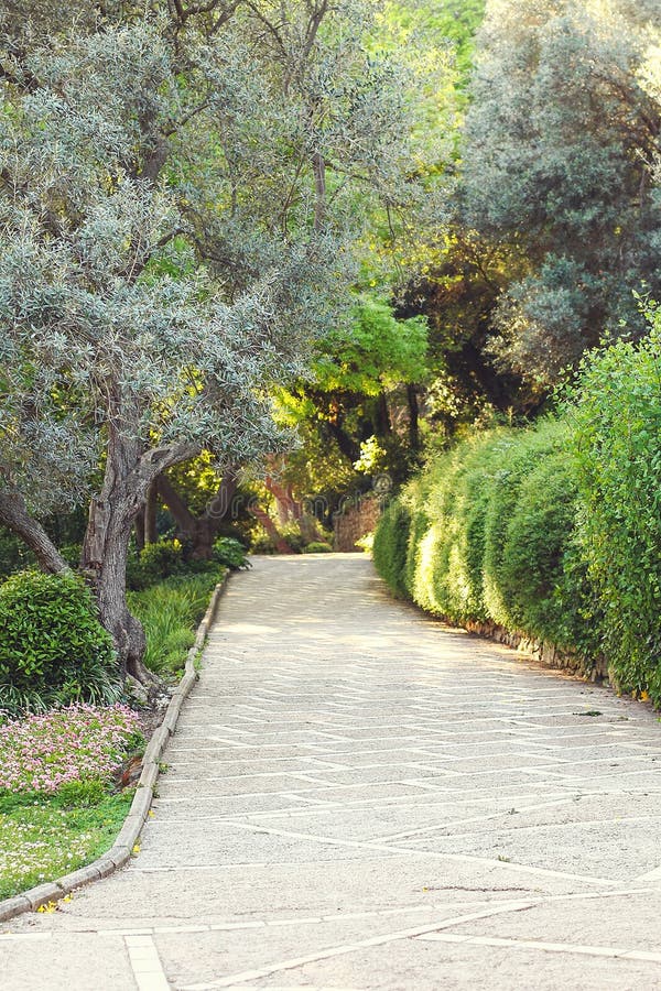 Summer park stock image. Image of light, outdoors, pathway - 40239865