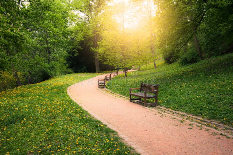 Summer park at sunny day stock photo. Image of landscape - 57091196
