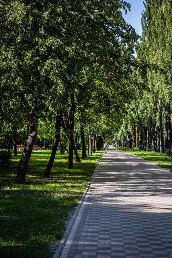 Summer Park View. Sky View. Path Stock Photo - Image of peaceful ...