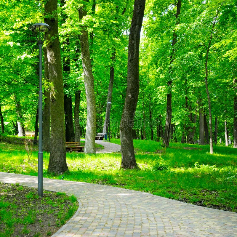 Summer Park with Walking Paths Stock Image - Image of landscape, clouds ...