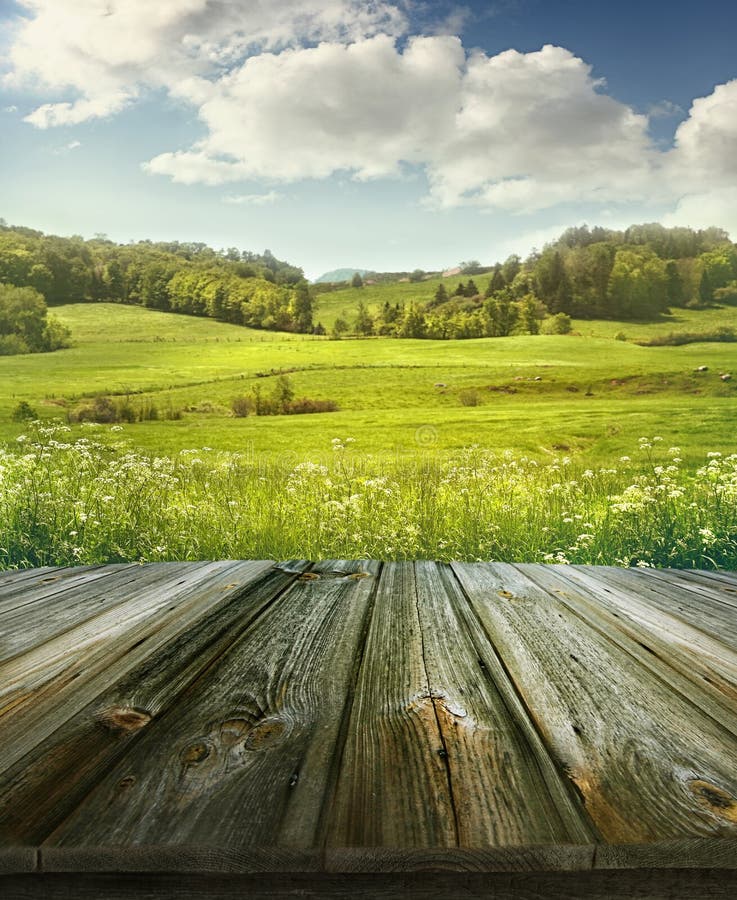 Summer Pastoral Background with Wooden Planks Stock Photo - Image of ...