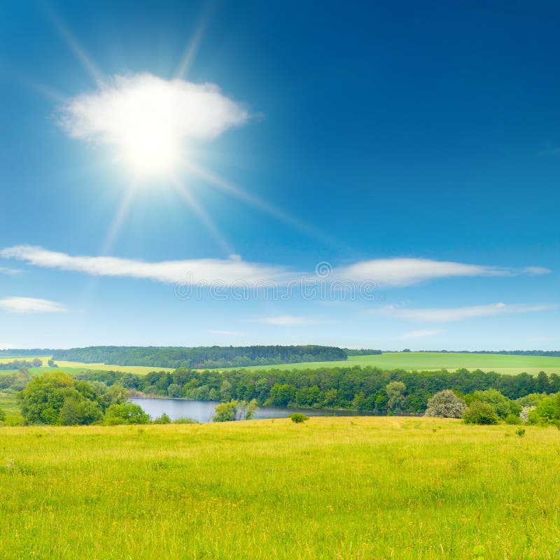 Summer Pasture with Fresh Grass and Blue Sky with Sun Stock Image ...