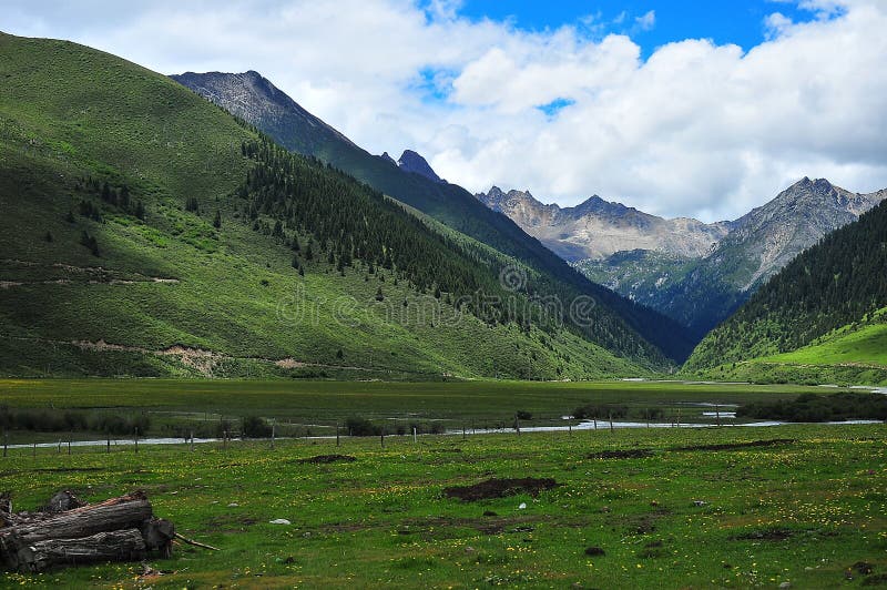 Summer on the Pastures stock photo. Image of china, scenery - 55773230