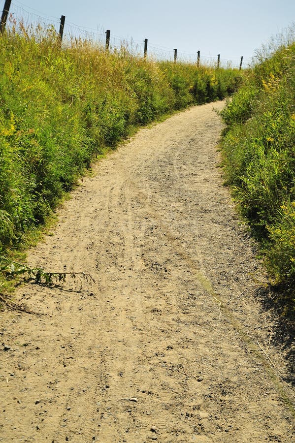 Summer path stock image. Image of footpath, vertical - 24580117