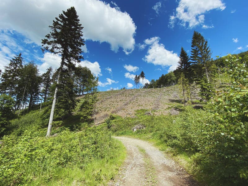 Summer Path To the Mountains Stock Image - Image of water, outdoors ...