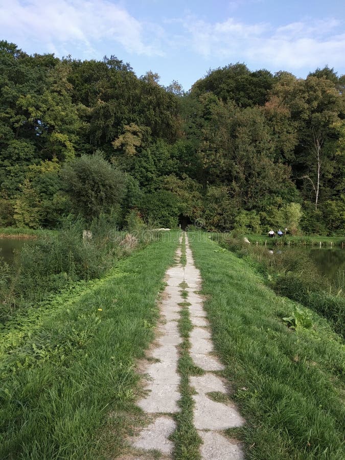 Summer, Path To the Park, Grass, Trees, Greens, Path Stock Photo ...