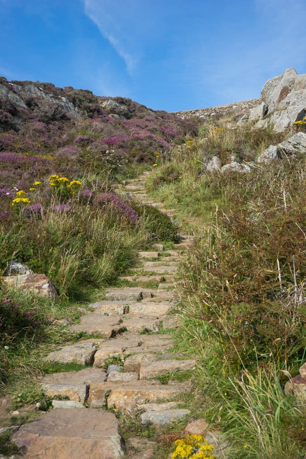 Summer Path Winding Off into the Distance Stock Photo - Image of hiking ...