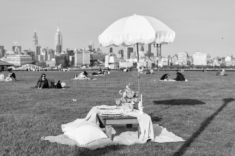 Summer Picnic In The Central Park Romantic Date In Manhattan Picnic