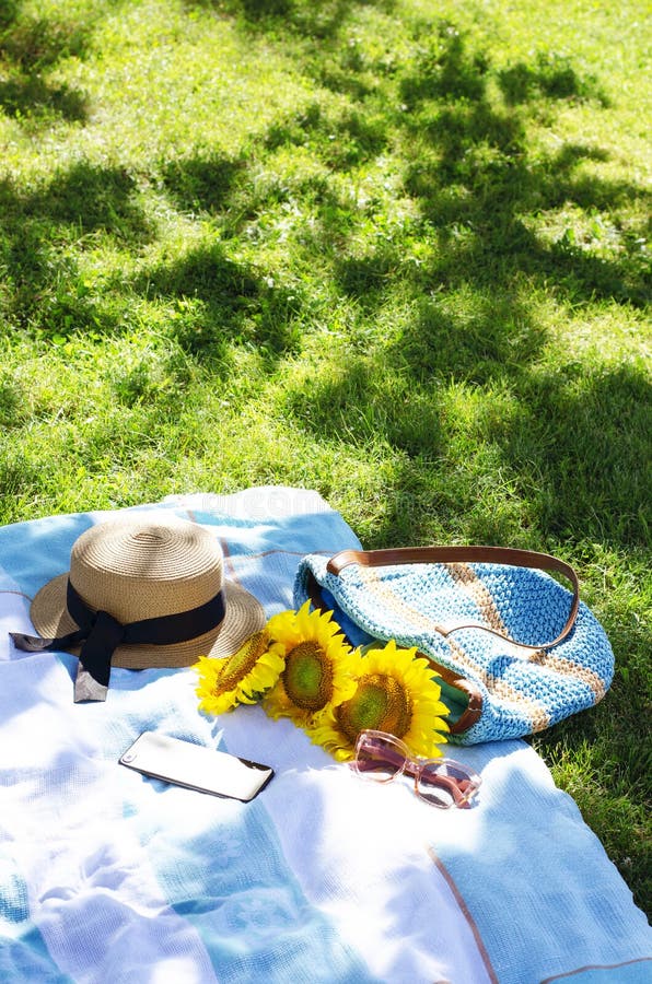 Summer Picnic on the Green Grass with Bright Accessories Stock Photo ...