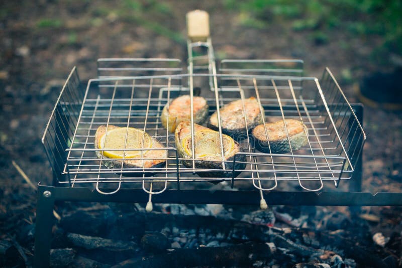 Summer Picnic with Red Fish Stock Photo - Image of fried, eatery: 162952442