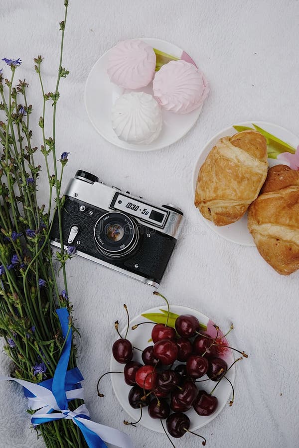 Summer picnic stock photo. Image of picnic, sweets, summer - 190836086