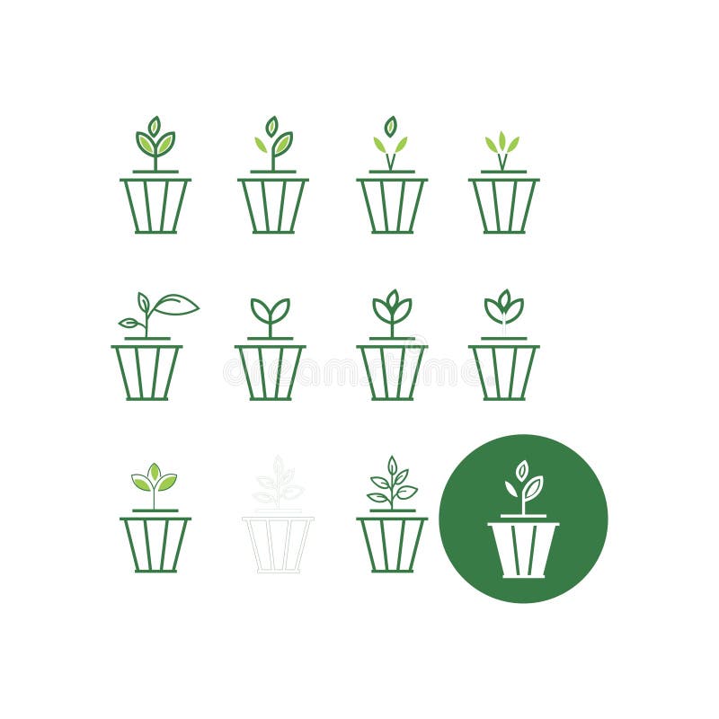 Plam Tree Logo Stock Illustrations – 89 Plam Tree Logo Stock ...