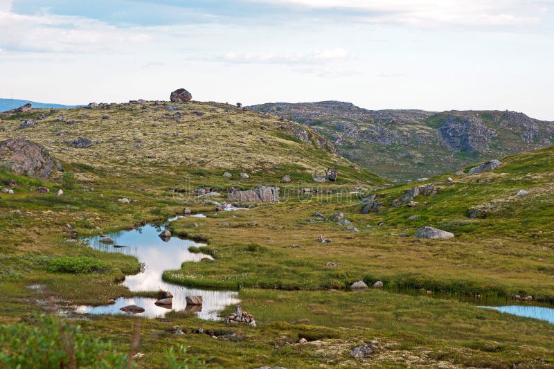 Summer Polar Landscape with Small River Stock Image - Image of nature ...