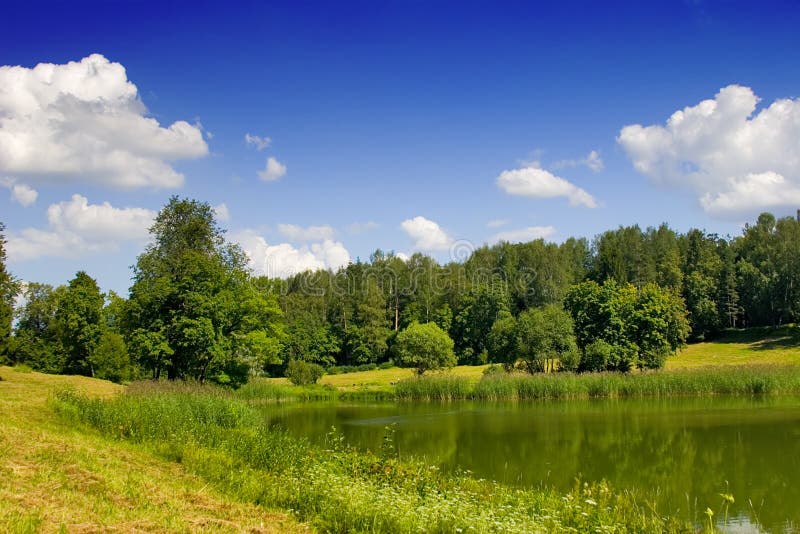 Summer pond stock image. Image of outdoors, landscaped - 3100347