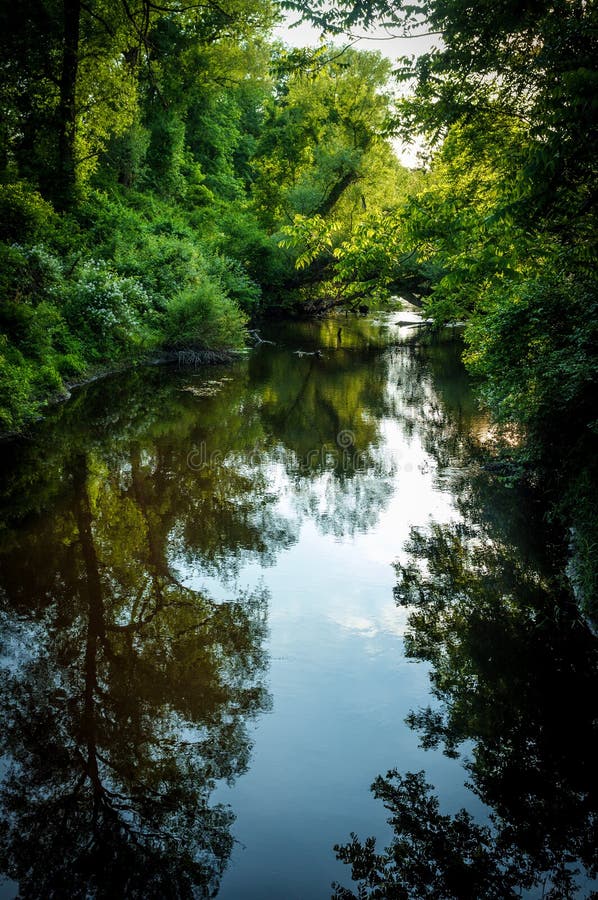 Summer Pond Reflections Evening Stock Image - Image of wildlife ...