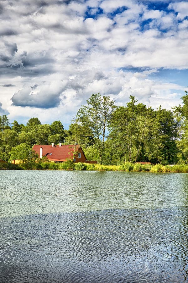 Summer pond in forest stock photo. Image of light, pier - 84027388
