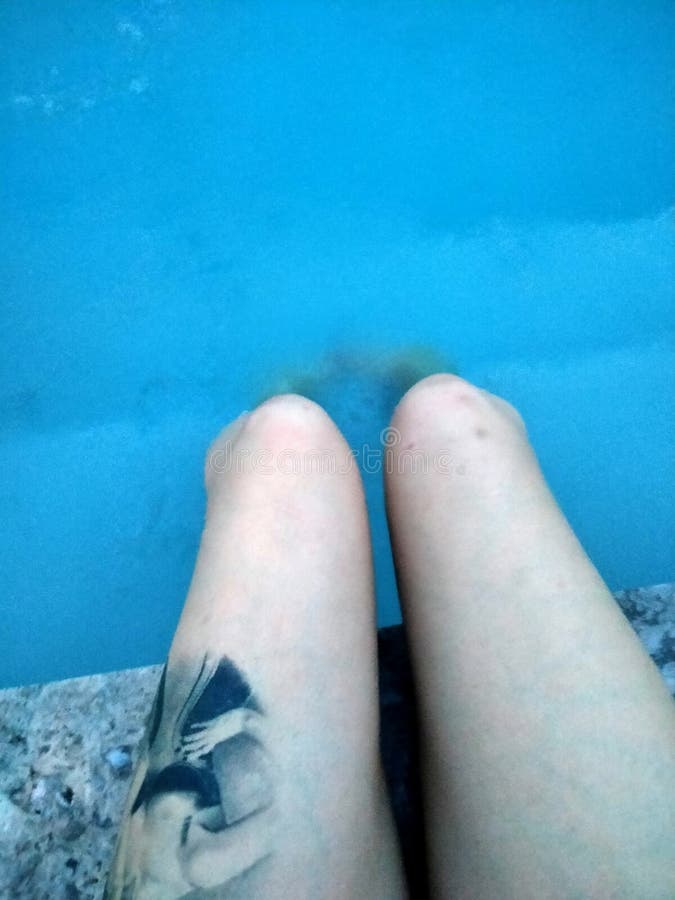 Summer pool dip stock photo. Image of blue, summer, sunny - 172024198