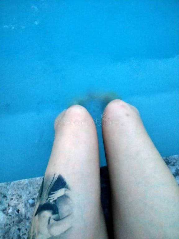 Summer pool dip stock photo. Image of blue, summer, sunny - 172024198